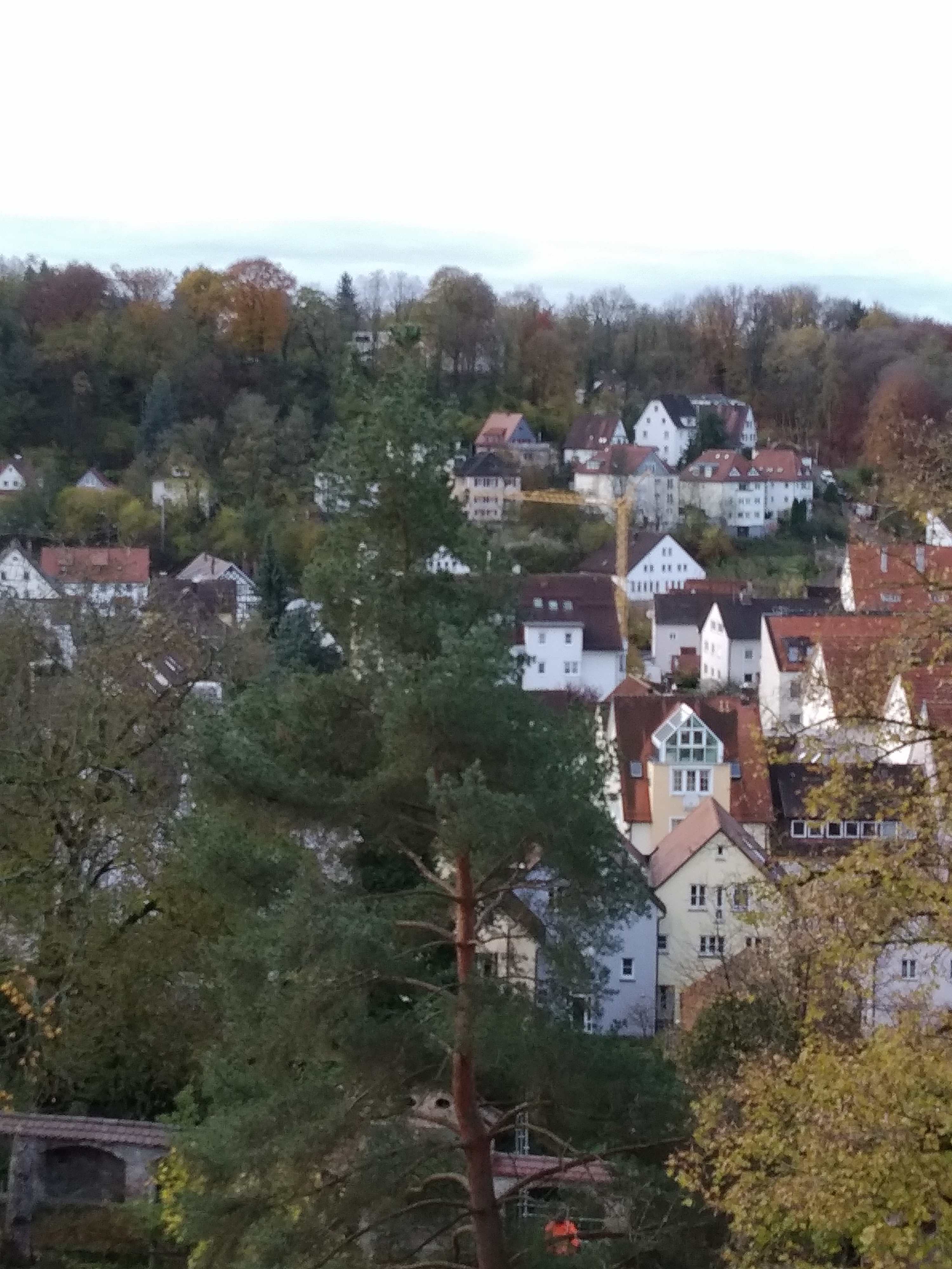 Визит в RWU Hochschule Ravensburg-Weingarten University of Applied ...